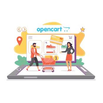 Basith - Web Developer